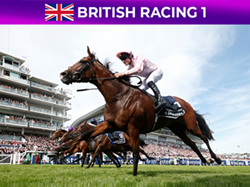 4Racing - Racing Today